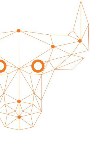 Digital Ox Inc. - Software Development